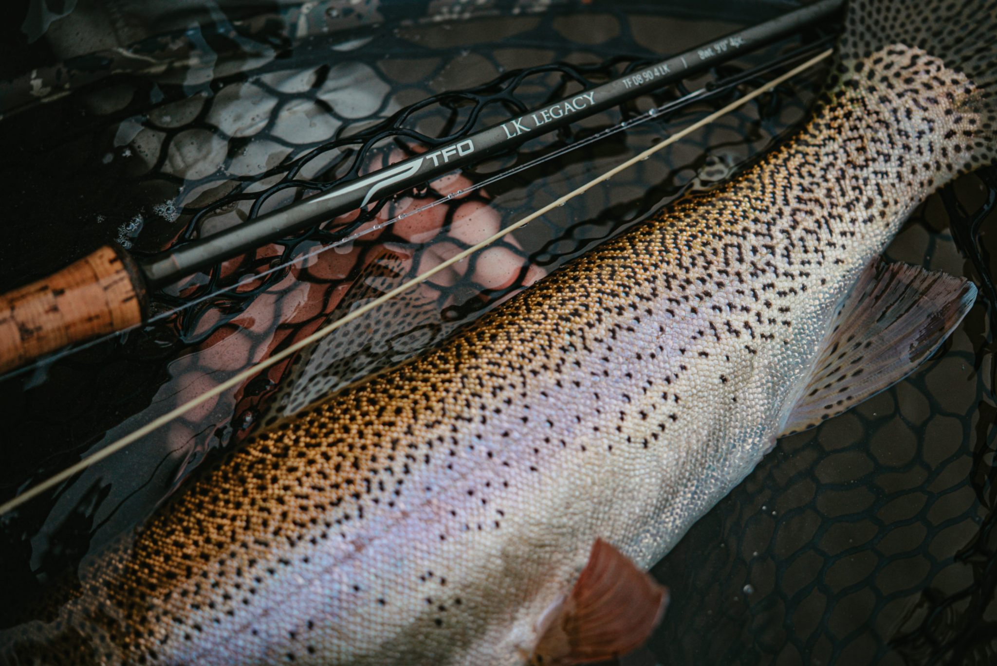 TFO LK Legacy Rods – NFD